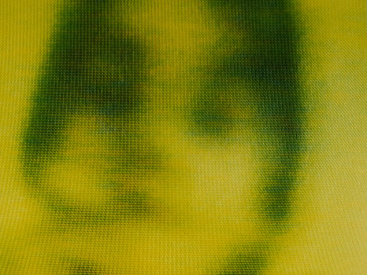 Harmony Korine - Hauser & Wirth